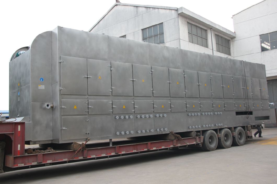 5 Layers Mesh Belt Dryer (DW5)