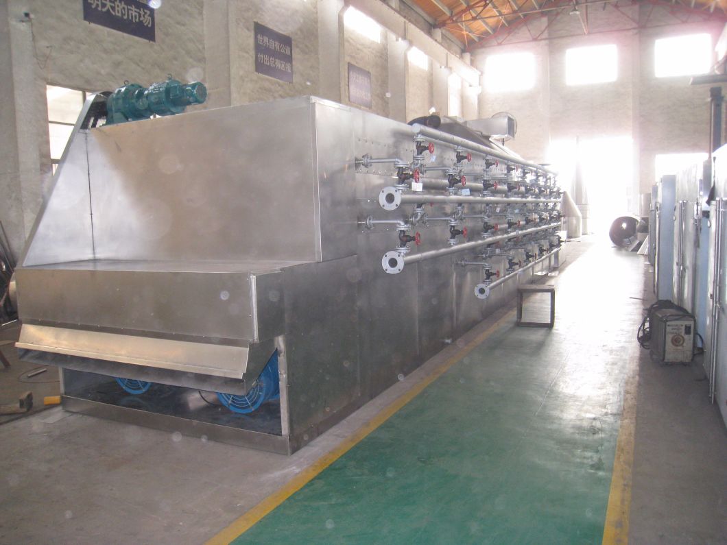 5 Layers Mesh Belt Dryer (DW5)